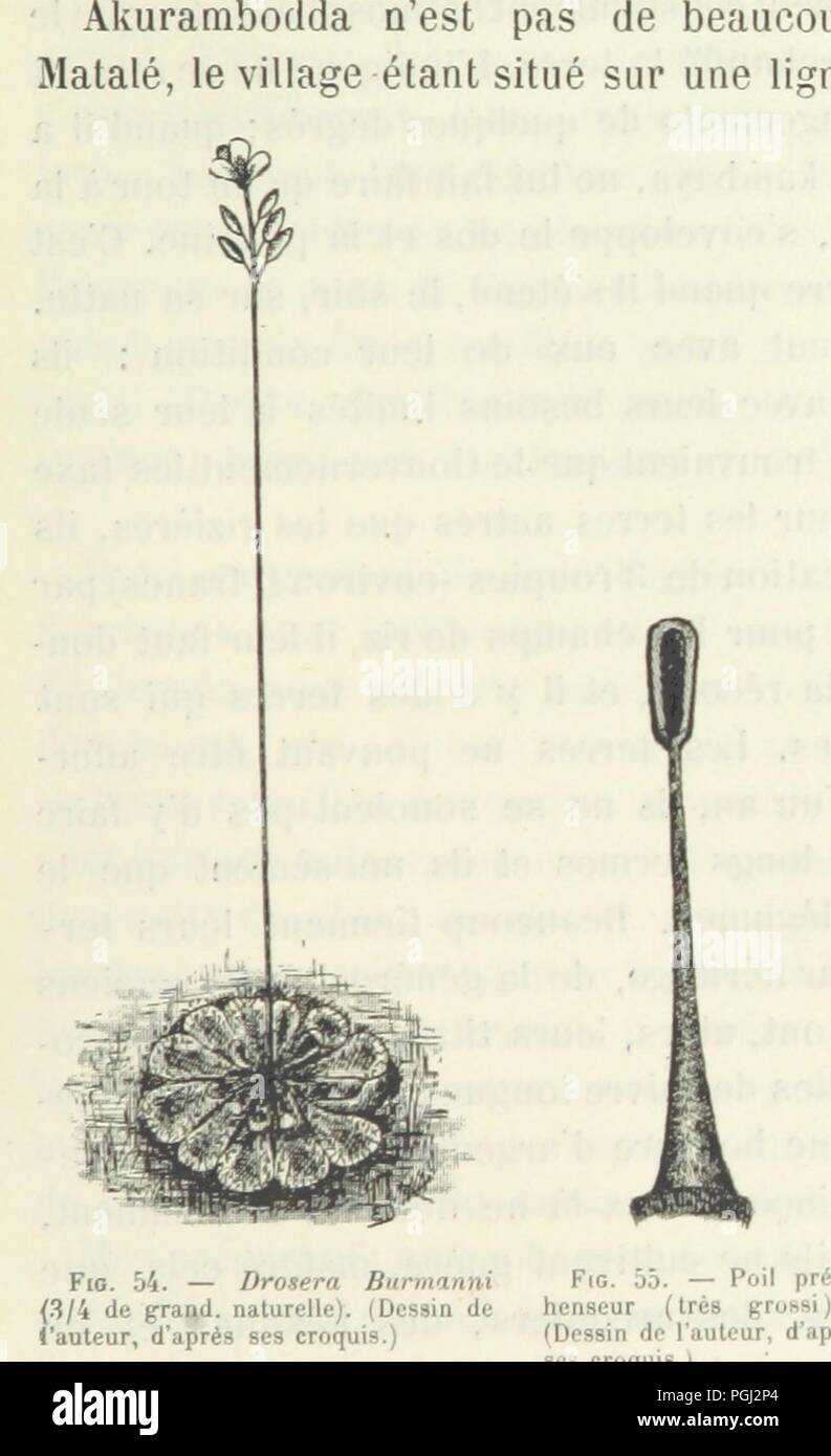 Image from page 187 of 'Carnet d'un voyageur. Au pays des Veddas ...
