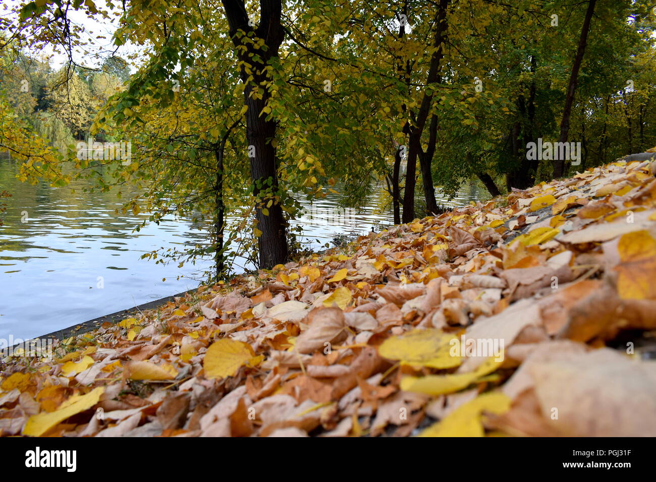 Bucharest Nature Park High Resolution Stock Photography and Images - Alamy