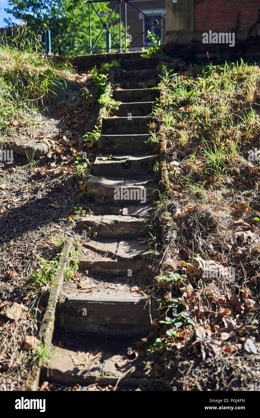 Appalachian trail steps hi-res stock photography and images - Alamy