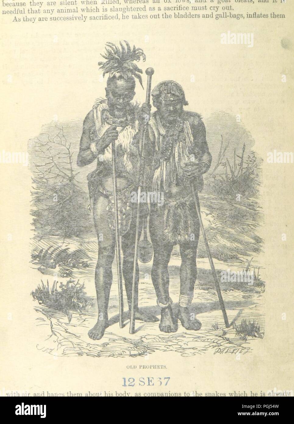 Image from page 222 of 'The Natural History of Man; being an account of ...