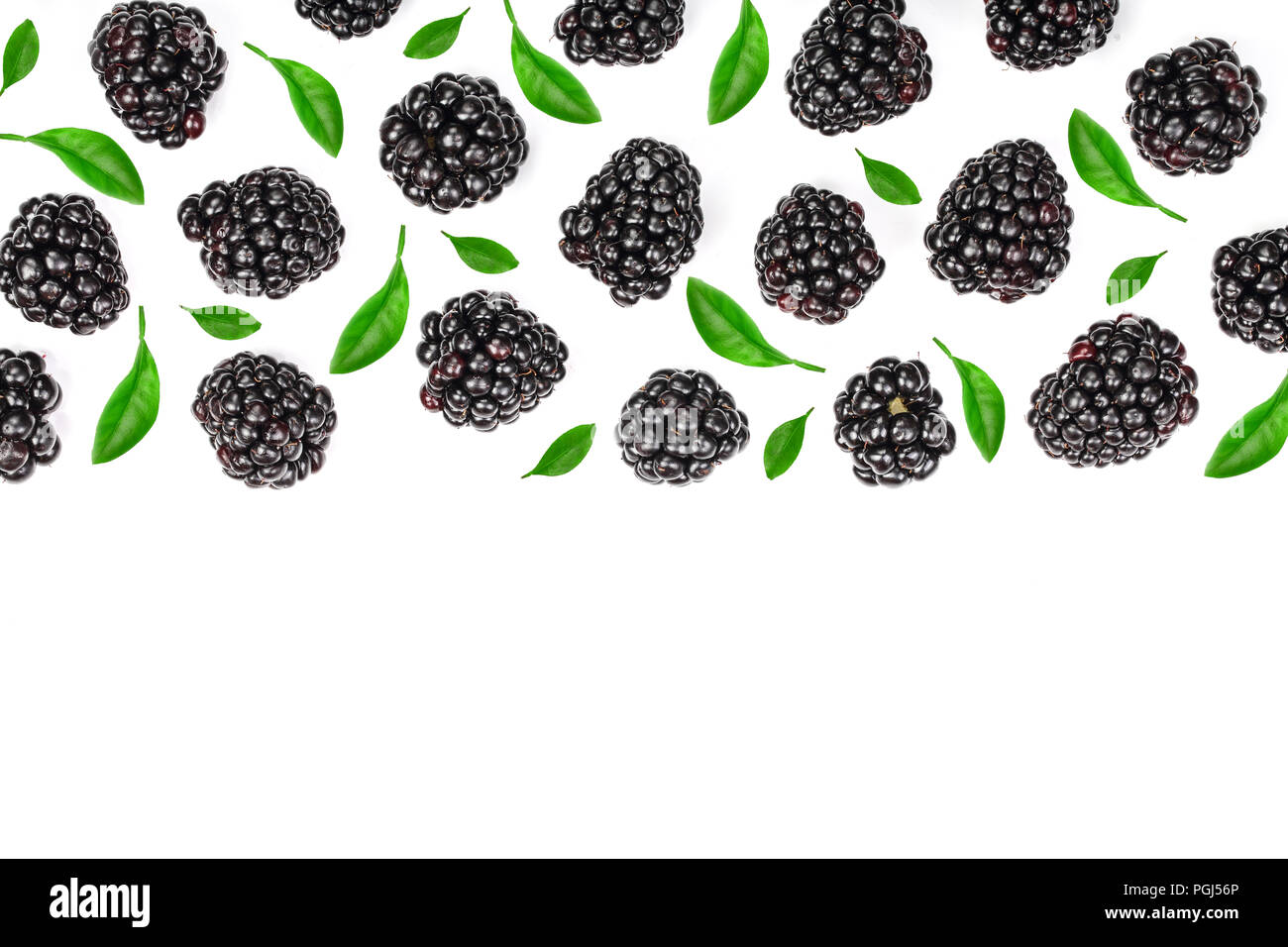 Fresh blackberry isolated on white background with copy space for your ...