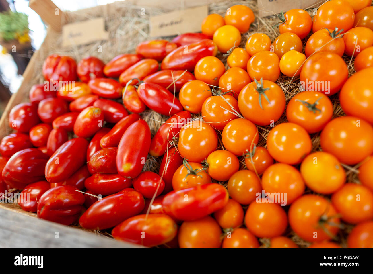 Different tomato varieties lies in a basket Stock Photo - Alamy