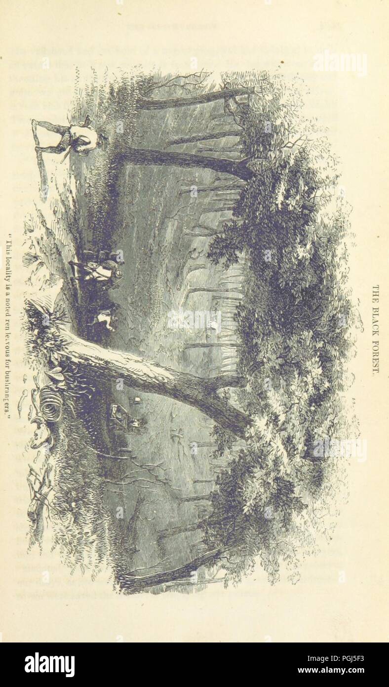 Image from page 229 of 'Adventures of a Gold-Digger ... Illustrated ...