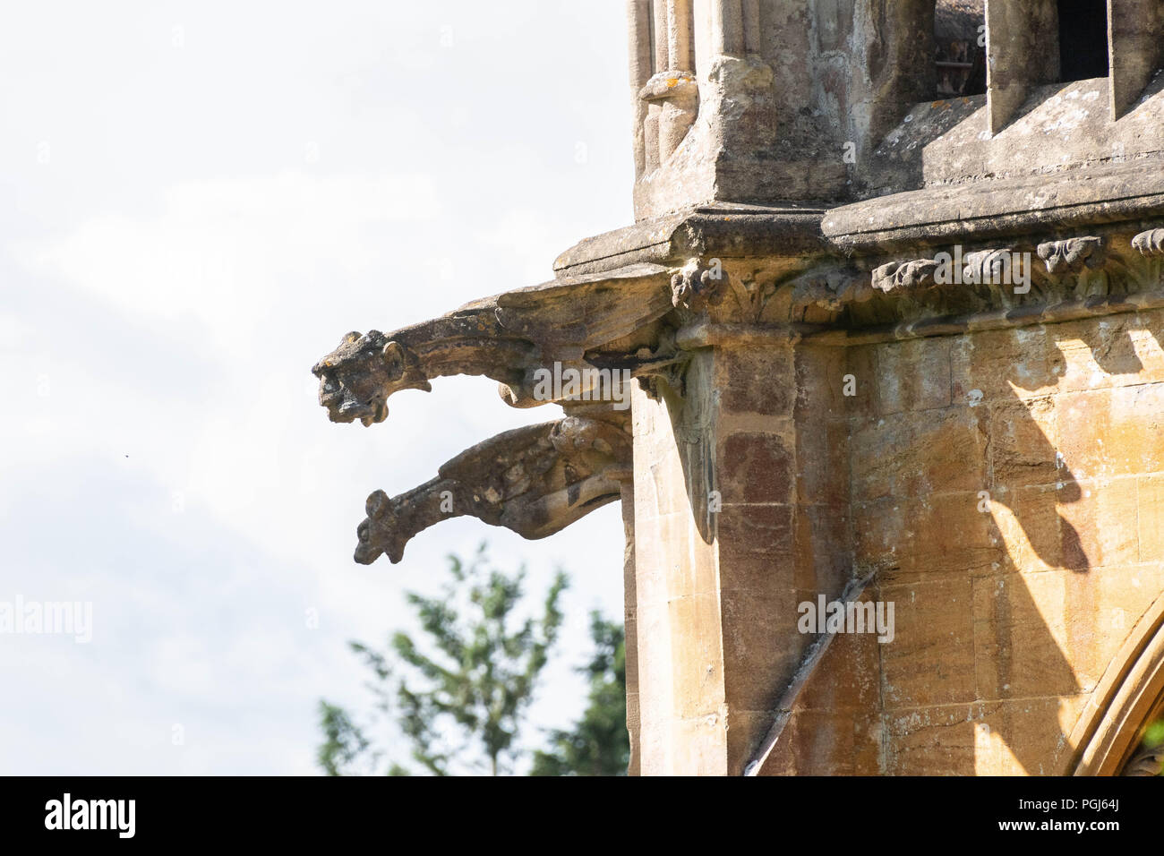Gargoyles victorian hi-res stock photography and images - Alamy
