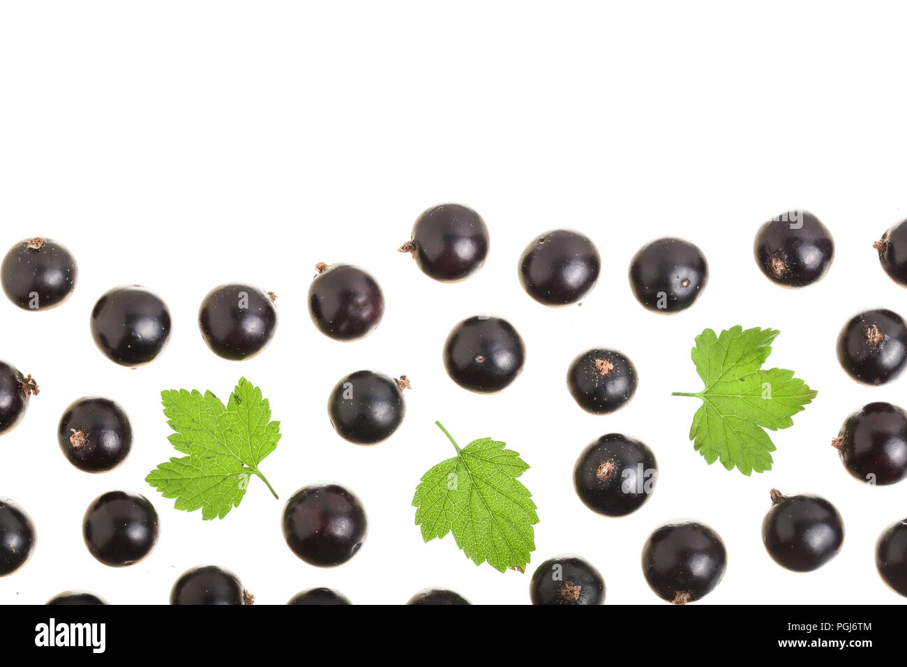 black currant isolated on white background with copy space for your ...