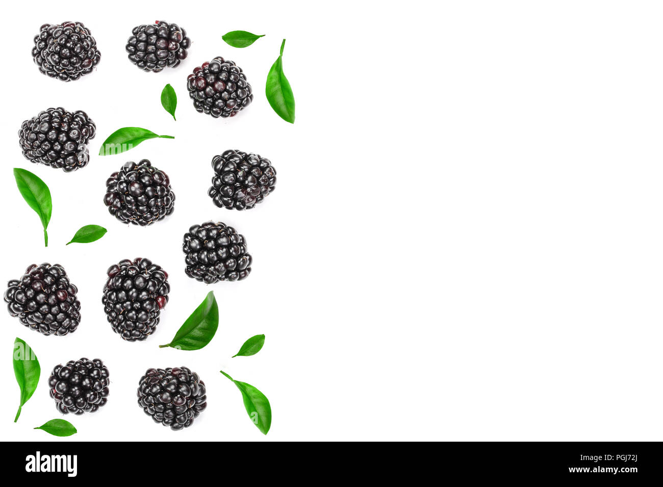 Fresh blackberry with leaves isolated on white background with copy ...
