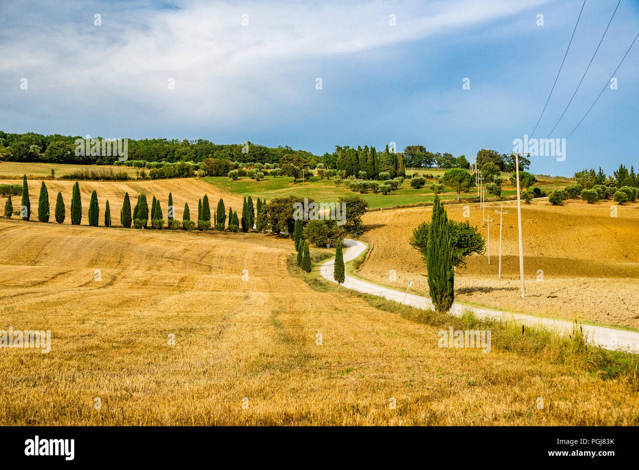 Tuscan landscape and cyprus trees hi-res stock photography and images ...