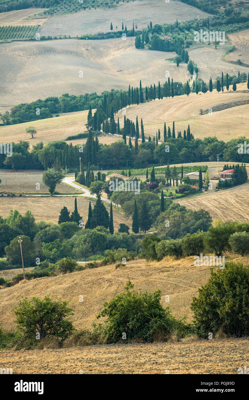Cyprus tree lined road hi-res stock photography and images - Alamy