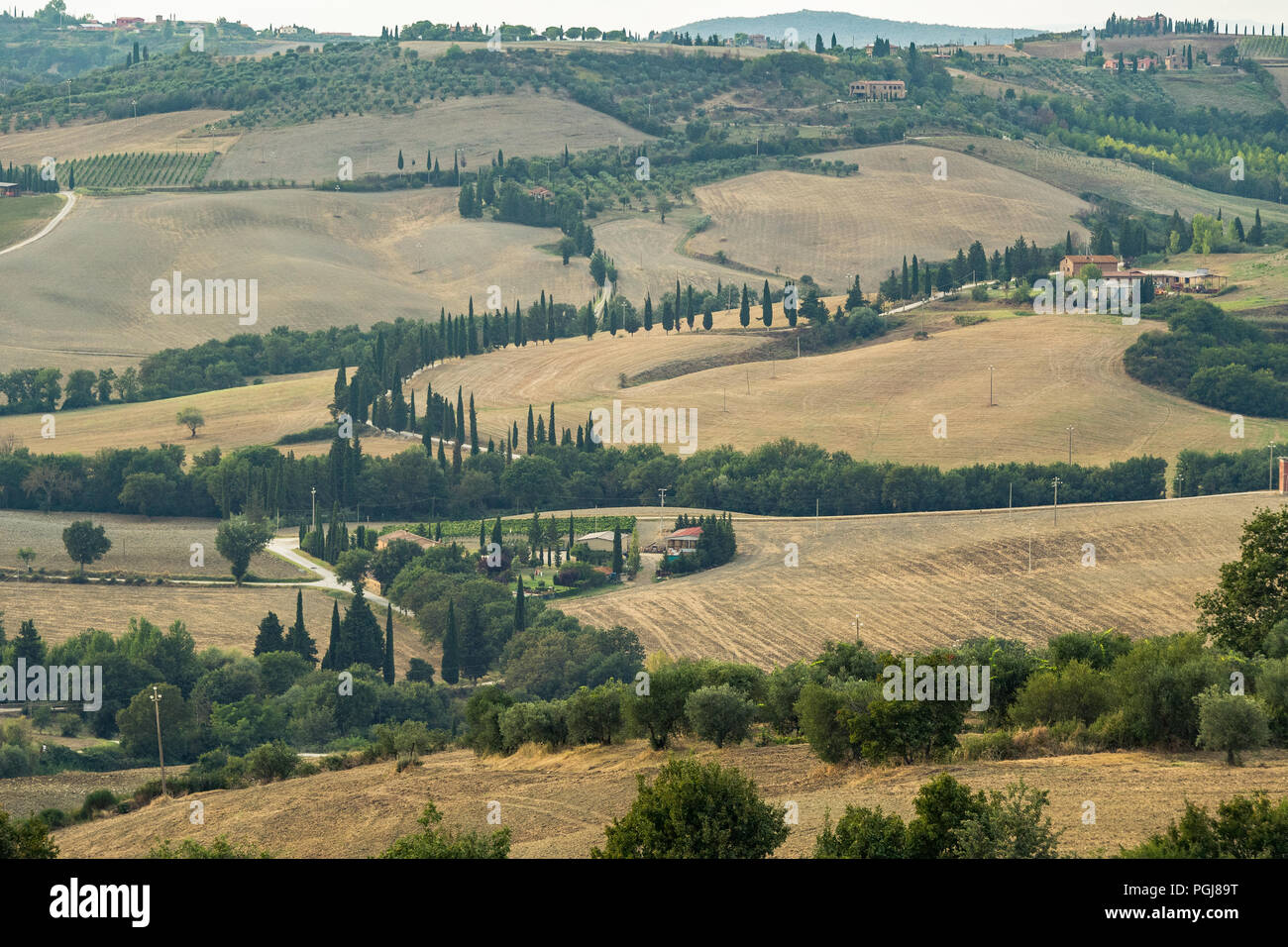 Cyprus trees hi-res stock photography and images - Alamy