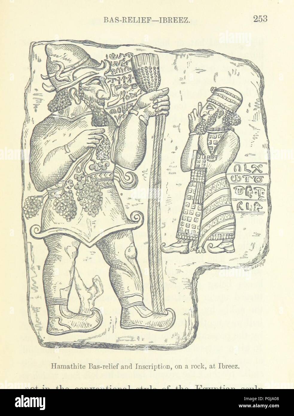 Lycaonia hi-res stock photography and images - Alamy