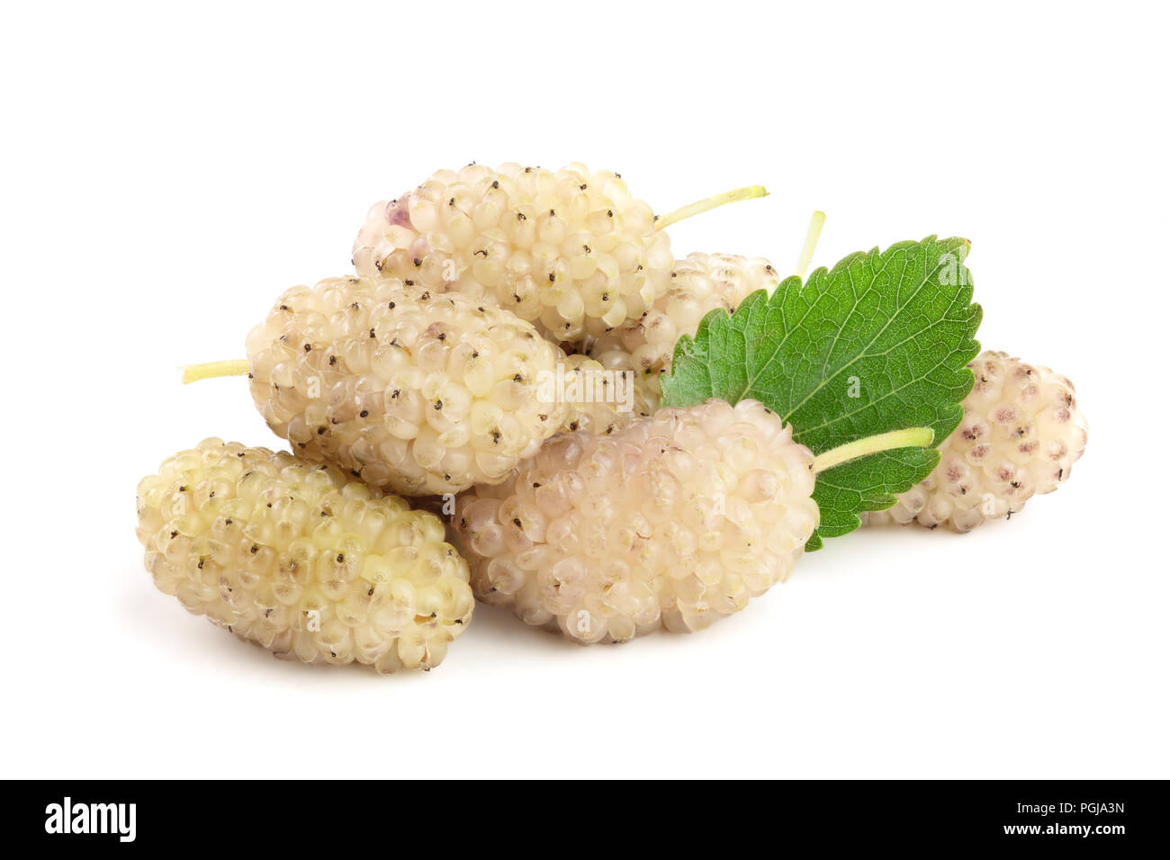 Fresh ripe white Mulberry berry with leaf isolated on white background ...