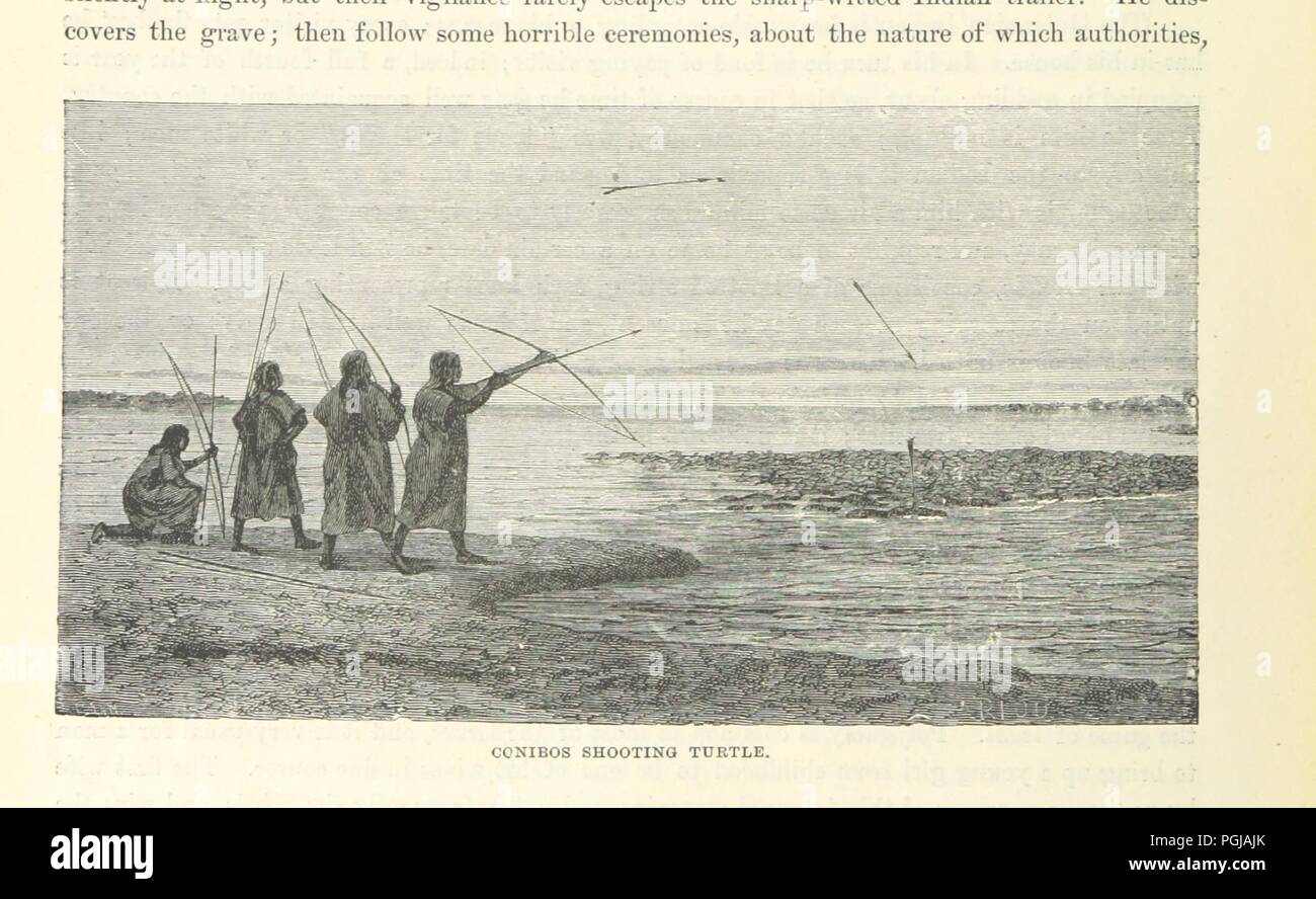 Image from page 316 of 'The Races of Mankind being a popular ...