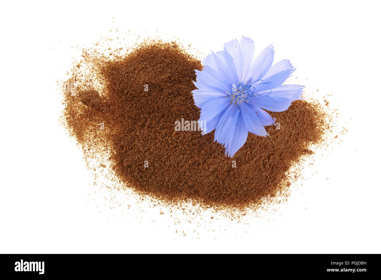 chicory flower and powder of instant chicory isolated on a white ...