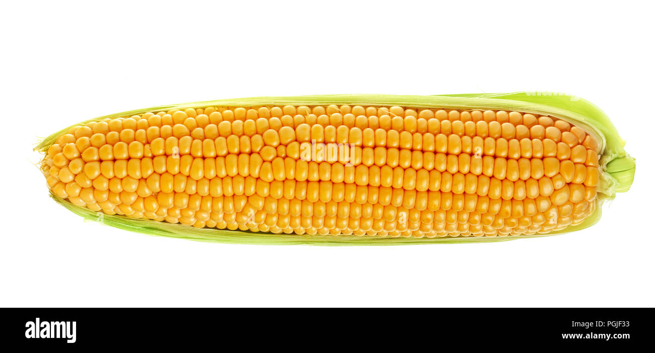 ear of corn isolated on a white background. Top view Stock Photo - Alamy