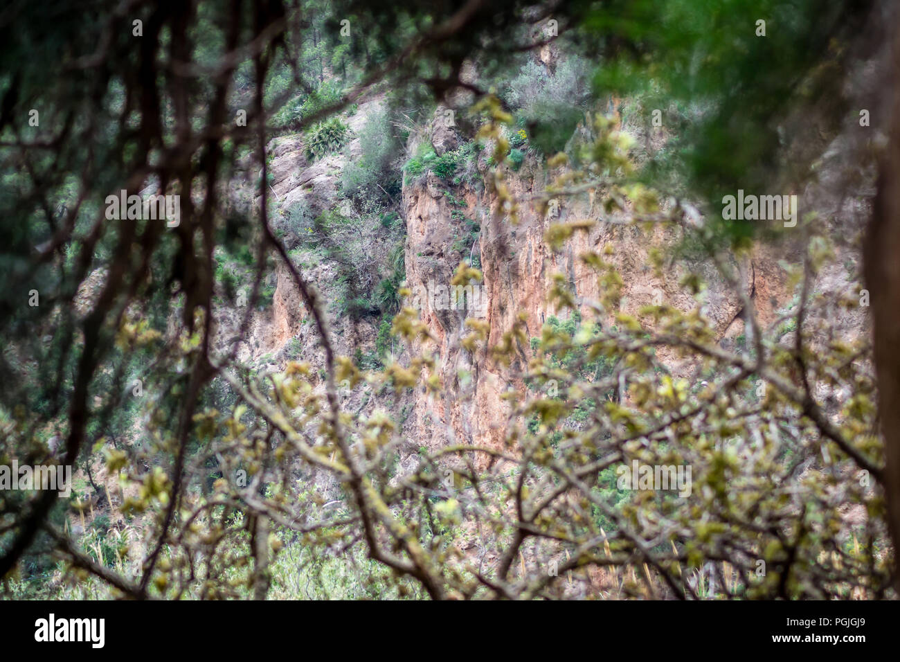 Oujda morocco hi-res stock photography and images - Alamy