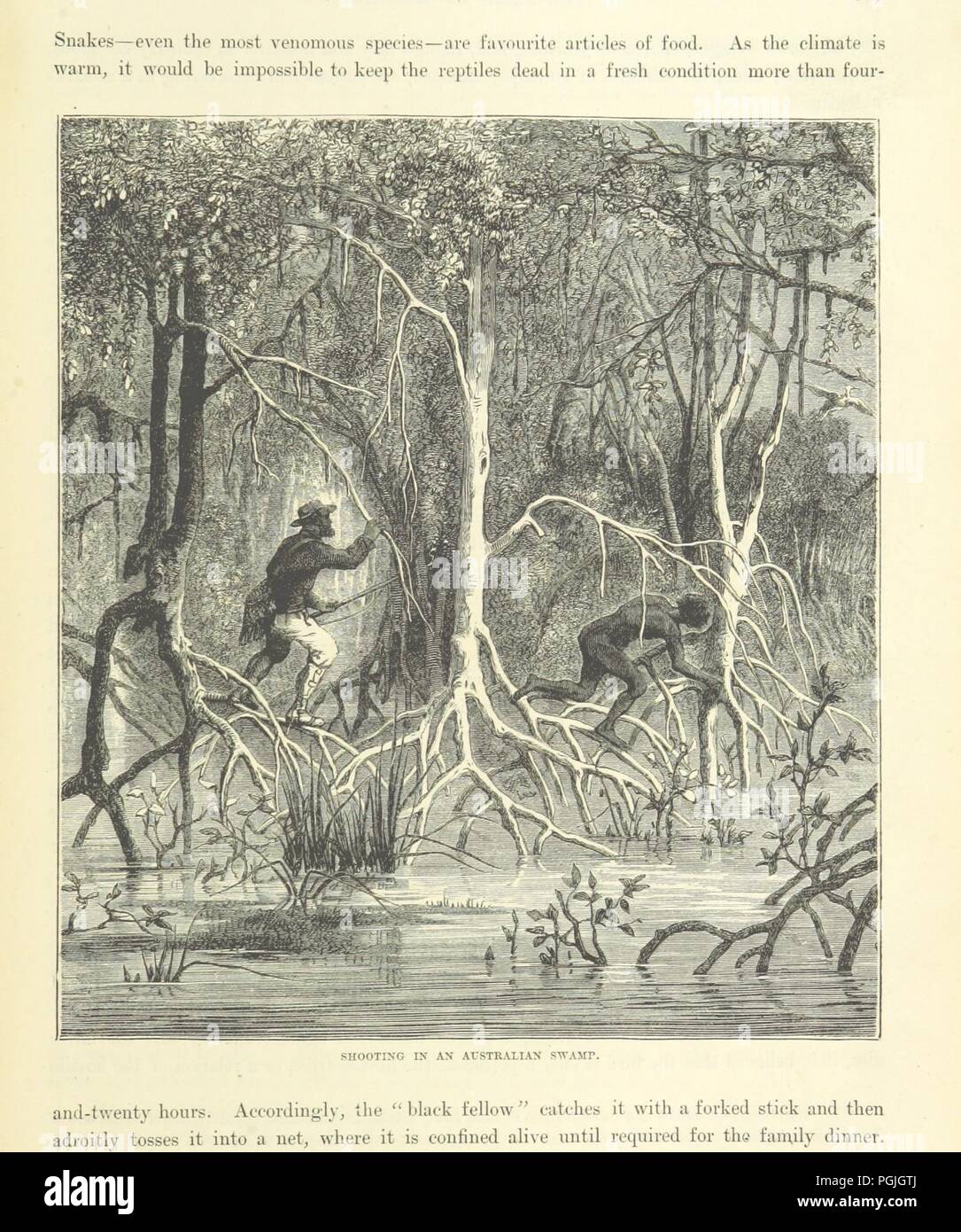 Image from page 495 of 'The Races of Mankind being a popular ...