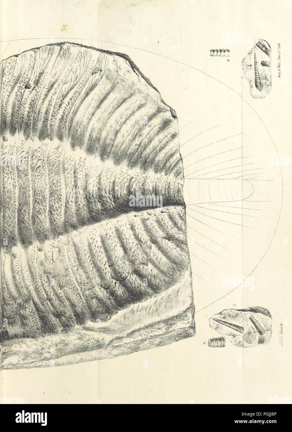 Siluria history oldest known rocks hi-res stock photography and images ...
