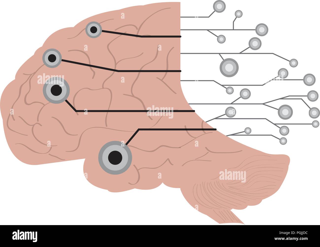 Isolated brain network icon. Artificial intelligence Stock Vector Image ...