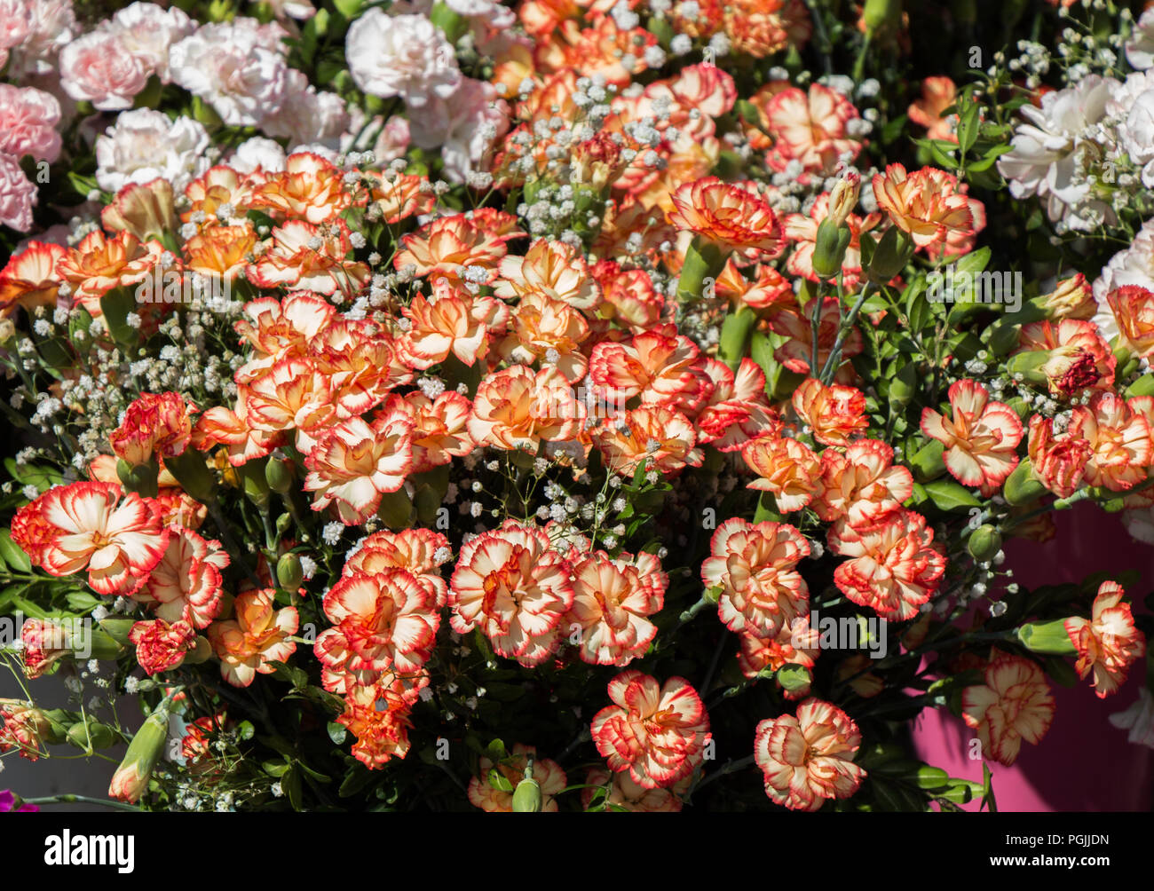 Fresh colorful flowers in vase in the floral market Stock Photo - Alamy