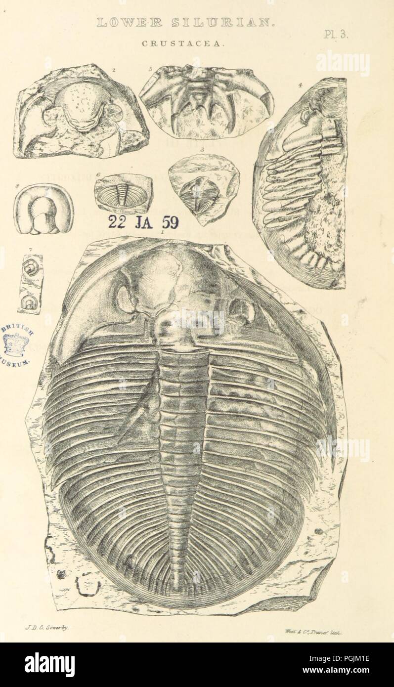 Siluria history oldest known rocks hi-res stock photography and images ...