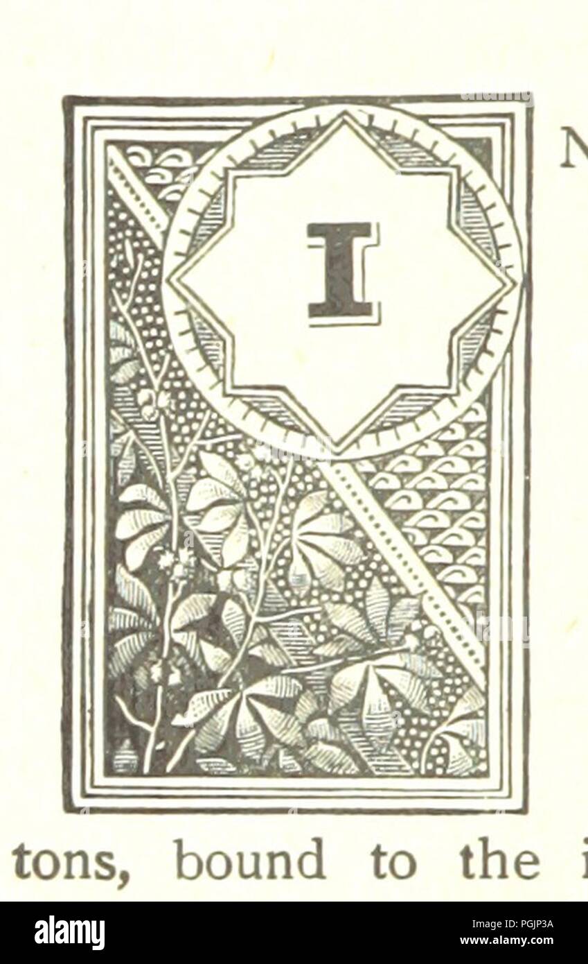 Shellback hi-res stock photography and images - Alamy