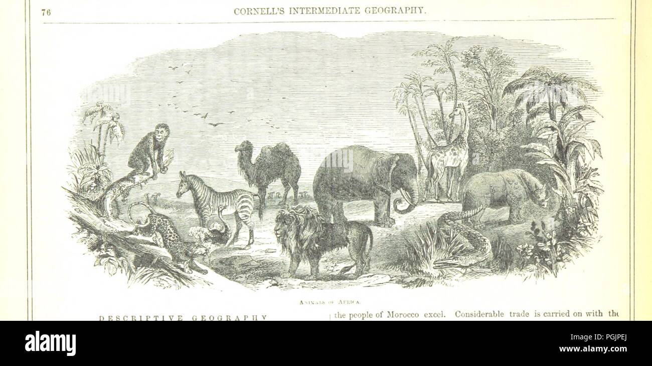 Image from page 80 of 'Cornell's Intermediate Geography forming part ...