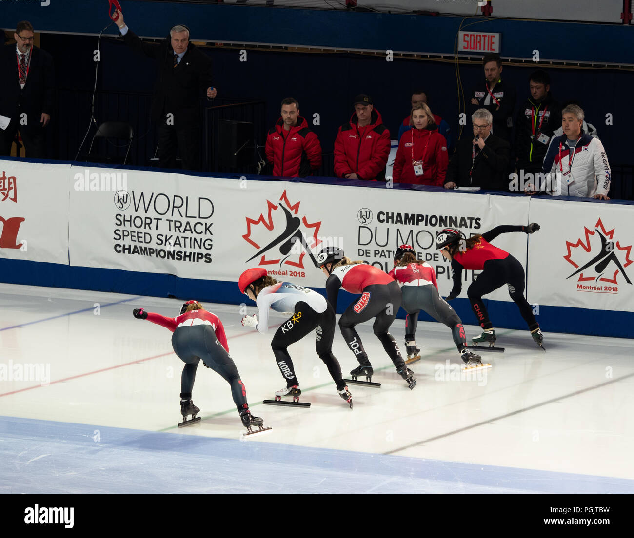 Five international female short track speed skaters at starting line ...