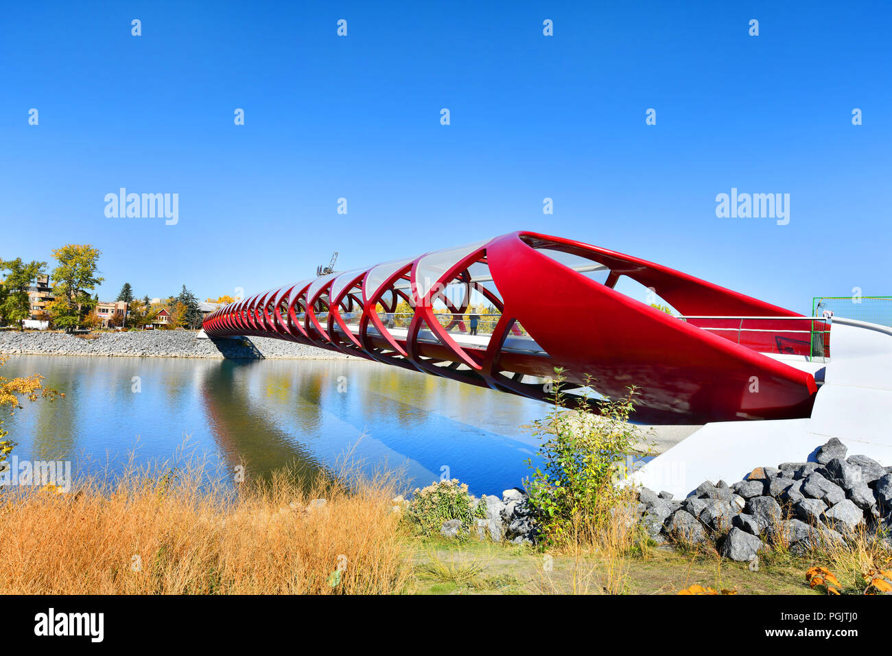 Afternoon photo of the Calgary Peace Bridge with Bow River and part of ...