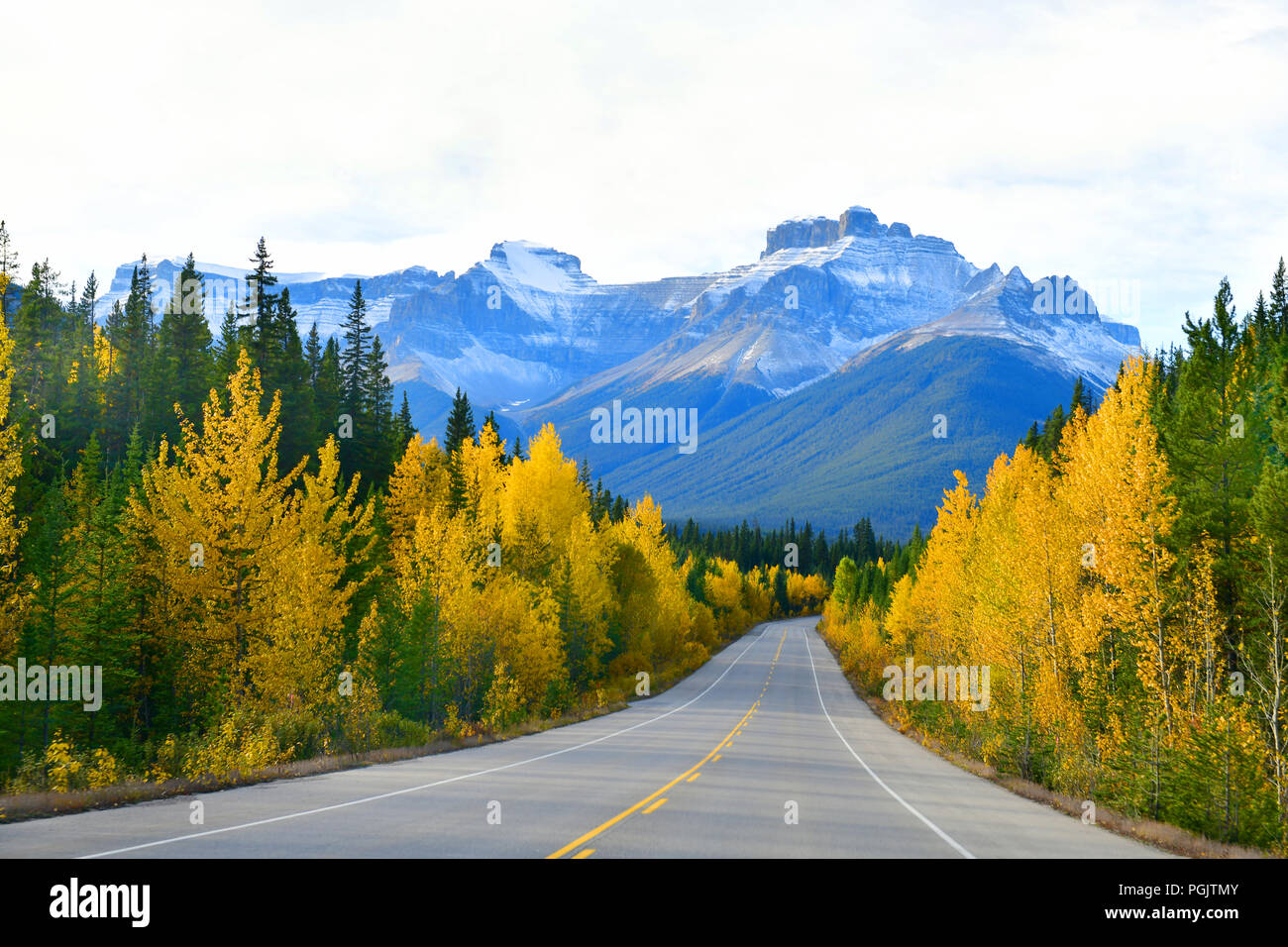 The road 93 beautiful "Icefield Parkway" in Autumn Jasper National park ...