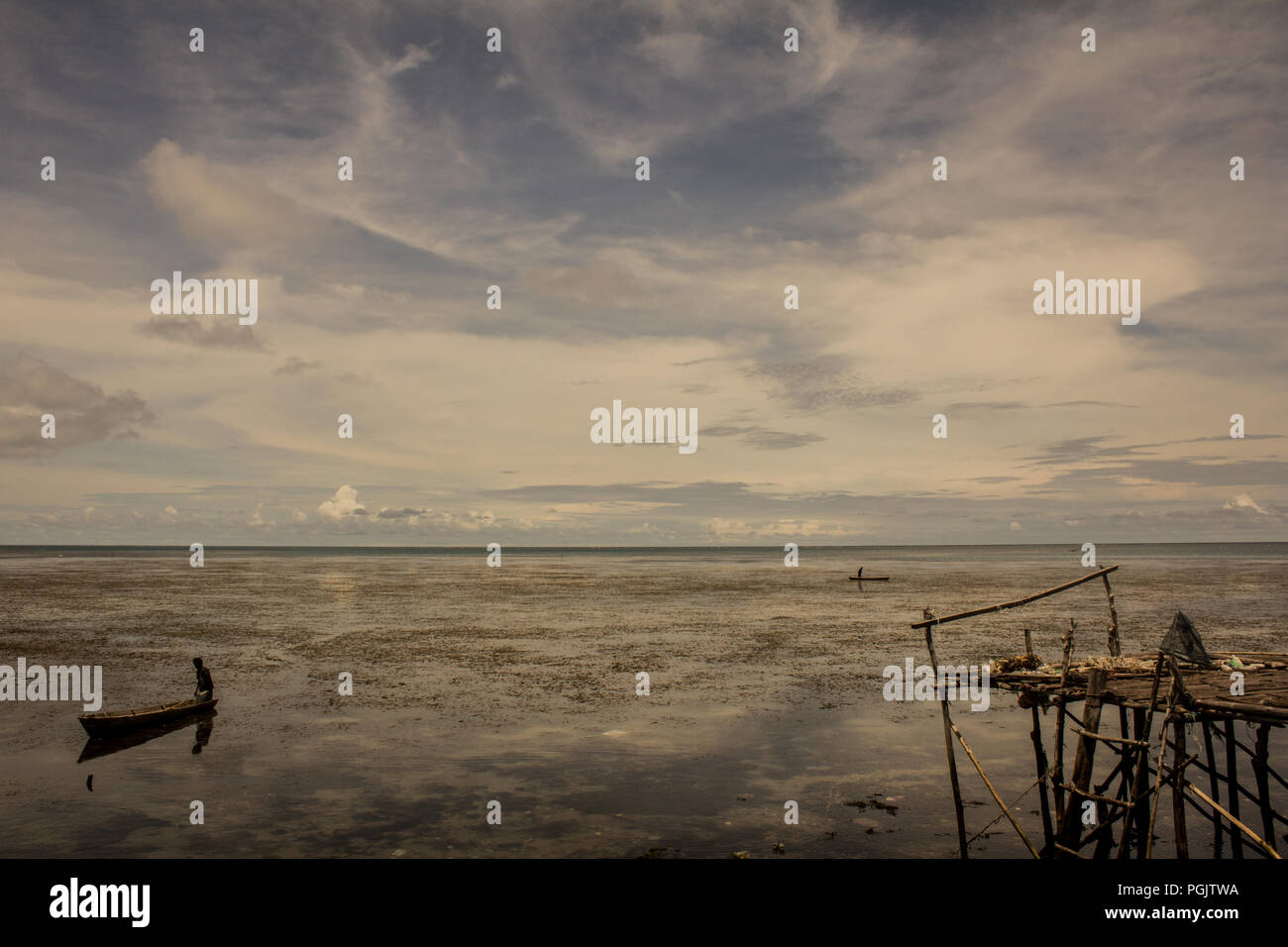 Rumput laut hi-res stock photography and images - Alamy