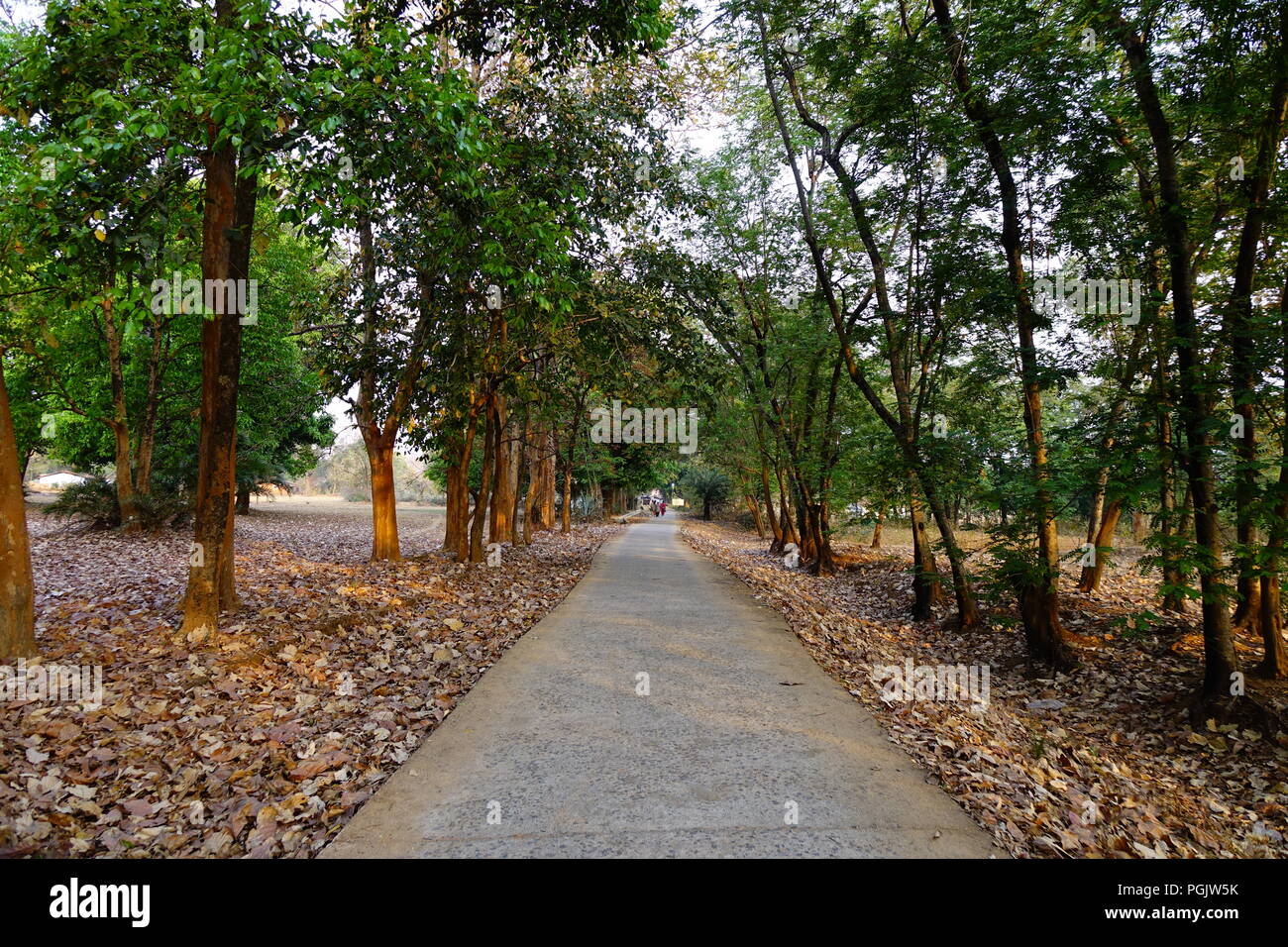 Lonely path hi-res stock photography and images - Alamy