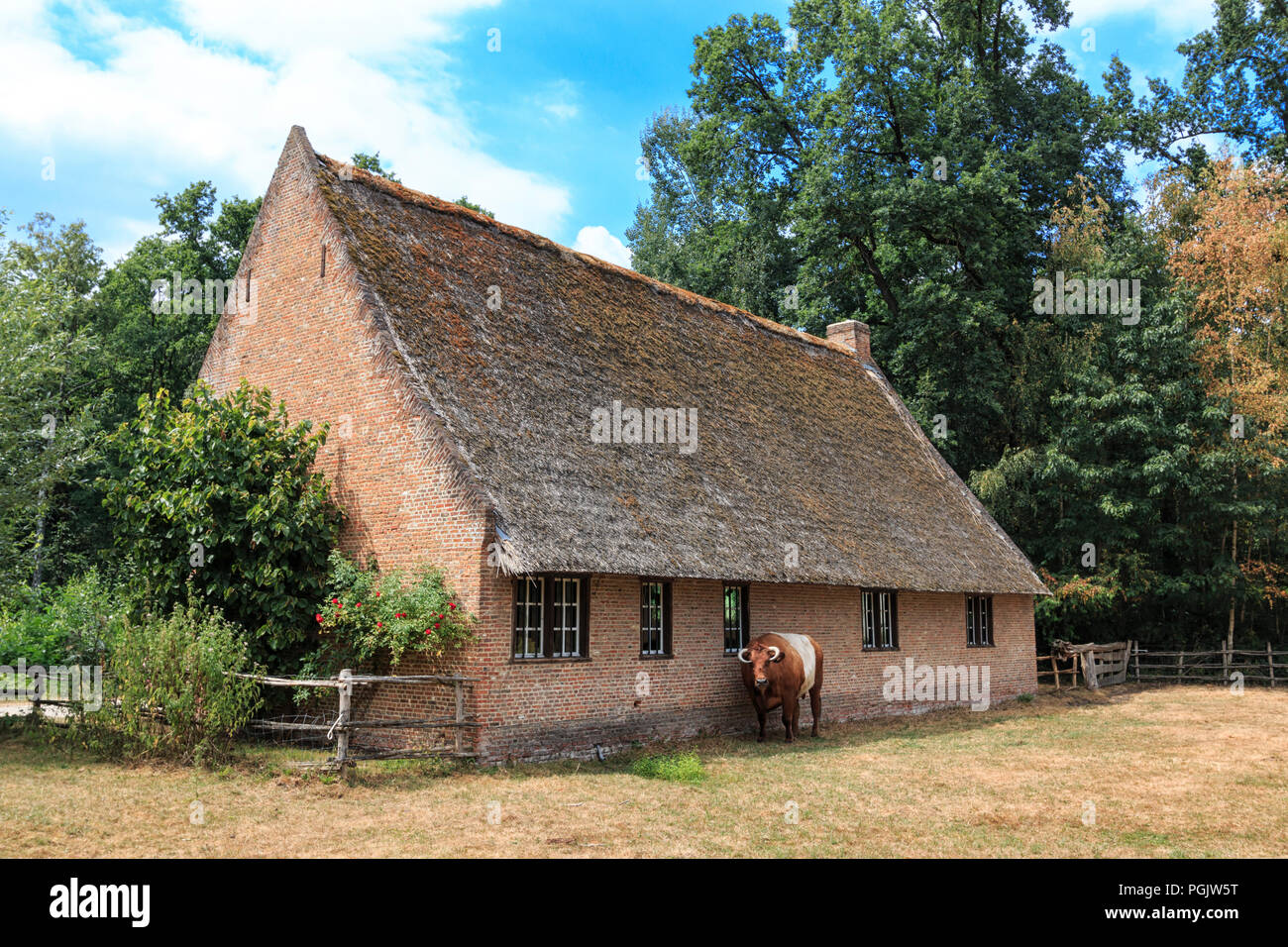 Belgian farmhouse hi-res stock photography and images - Alamy