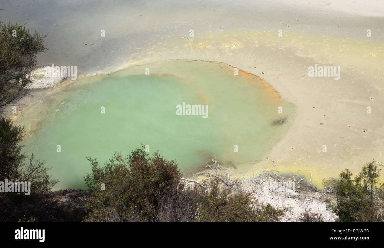 Pastel green thermal pool at Orakei Korako in Rotorua, New Zealand ...
