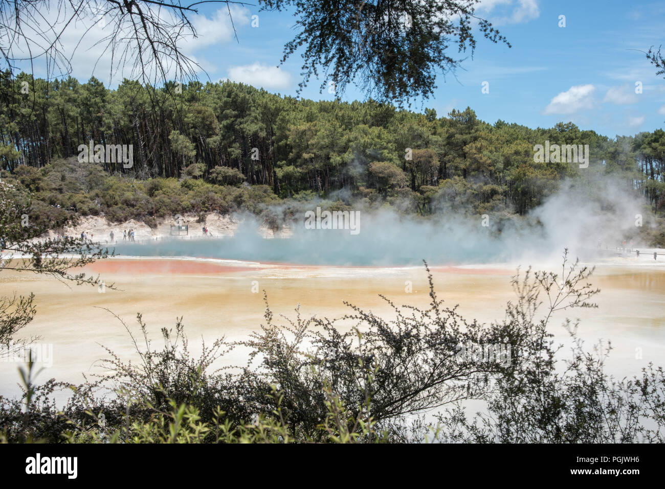 View through the lush greenery over the stunning Champagne Pool at the ...