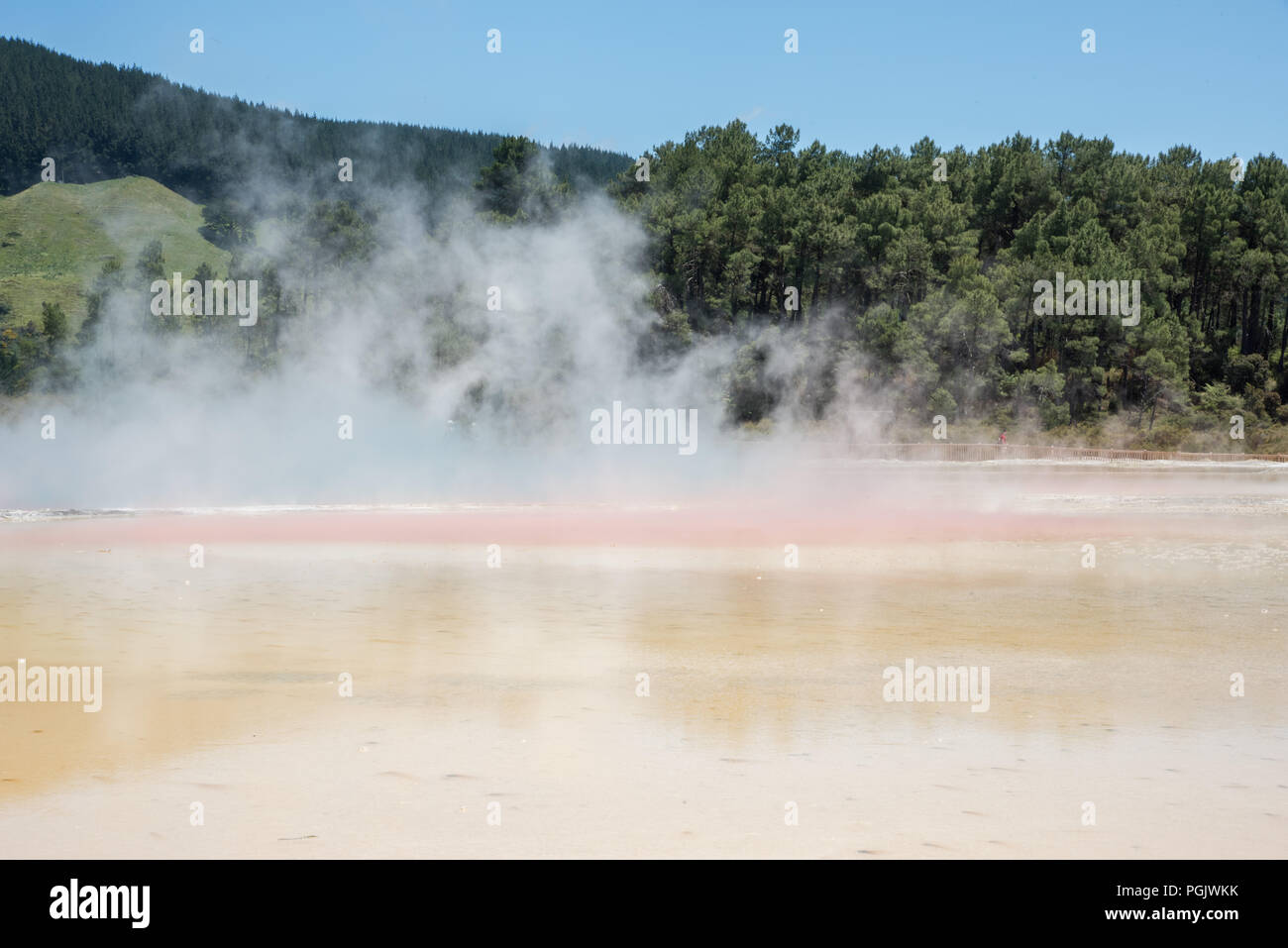 Steam rising from Champagne Pool at the geothermal area Orakei Korako ...