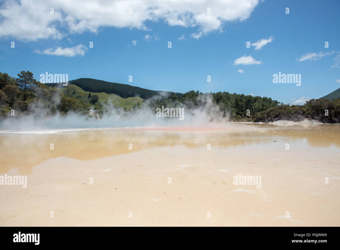 Steam rising from Champagne Pool at the geothermal area Orakei Korako ...