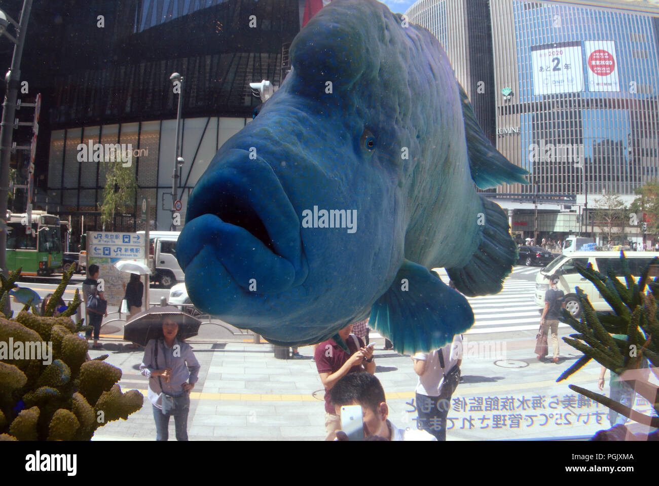 Tokyo, Japan. 25th Aug, 2018. Shoppers in Ginza look at tropical fish ...