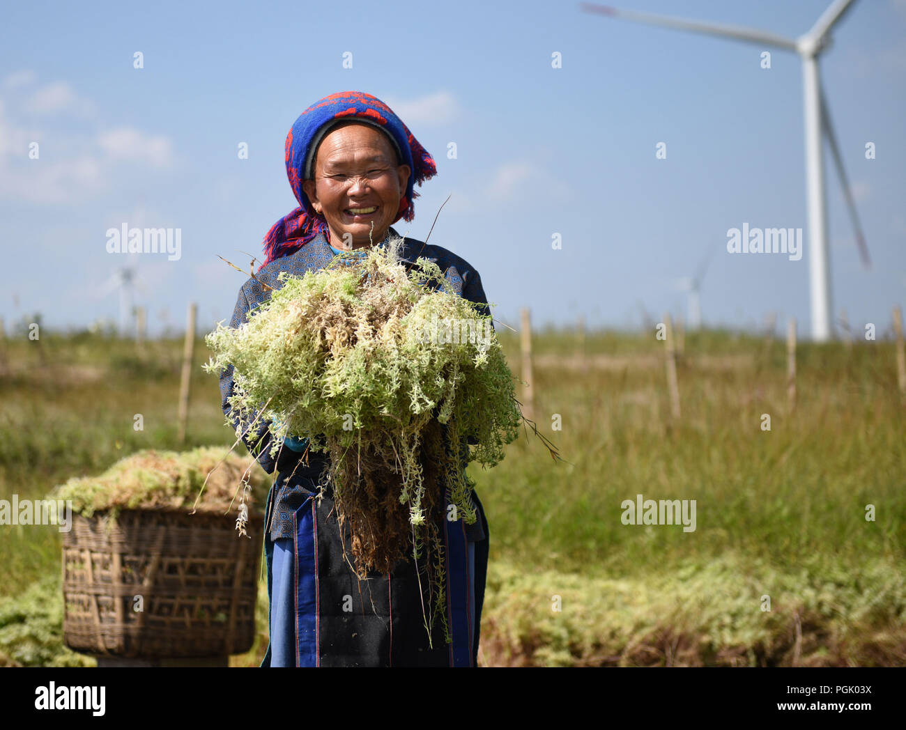 Sphagni High Resolution Stock Photography and Images - Alamy
