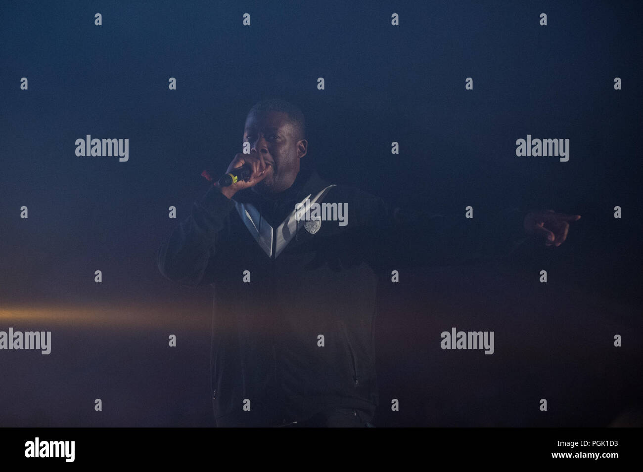 Hradec Kralove, Czech Republic. 25th Aug, 2018. American rapper and ...