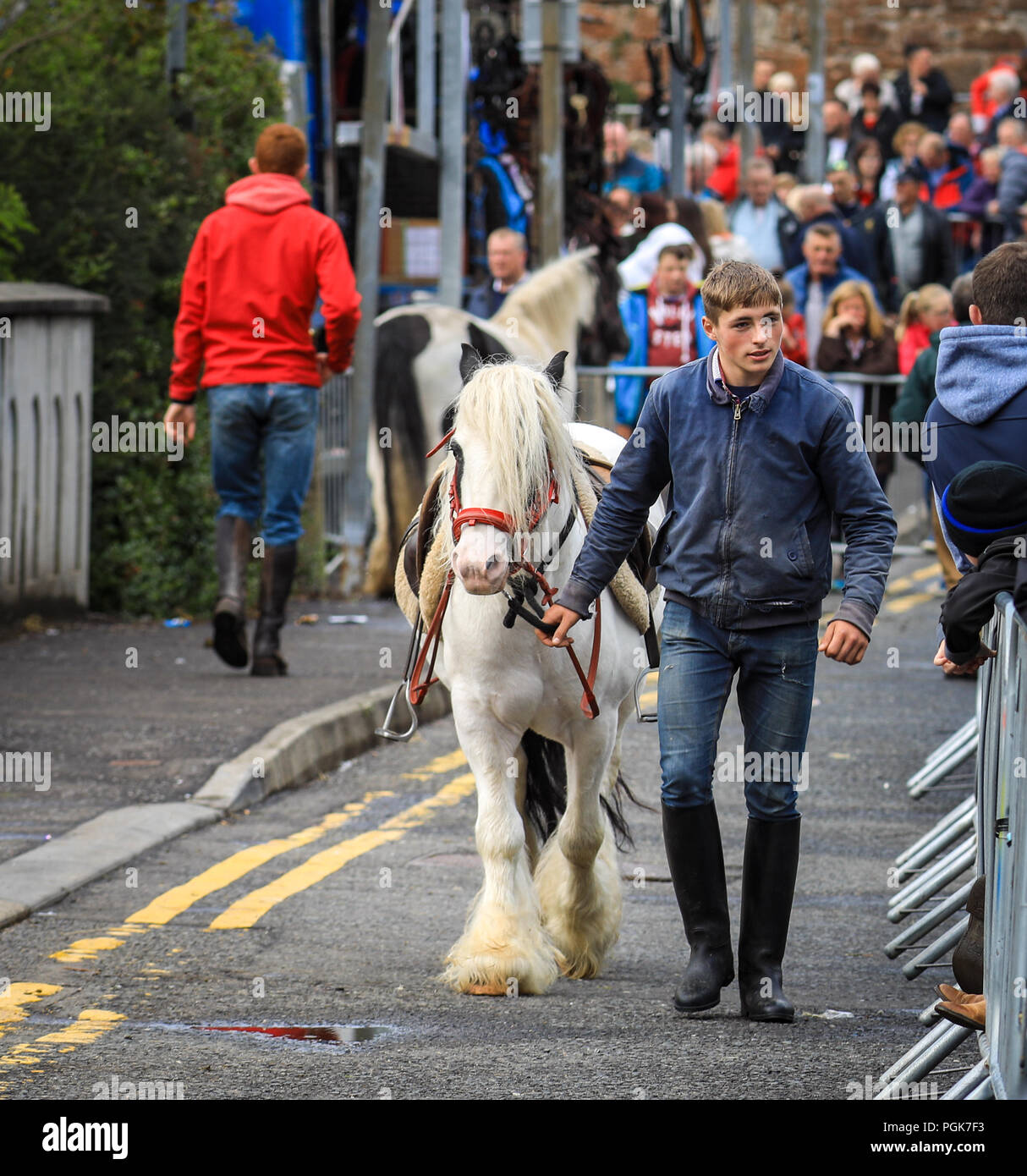 Lammas graham hi-res stock photography and images - Alamy