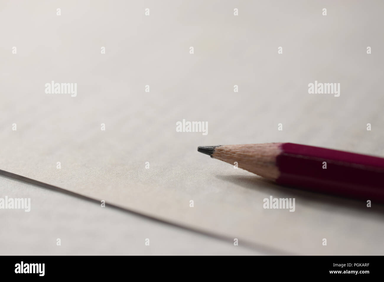 Red pencil lying on blank piece of paper in morning light Stock Photo ...