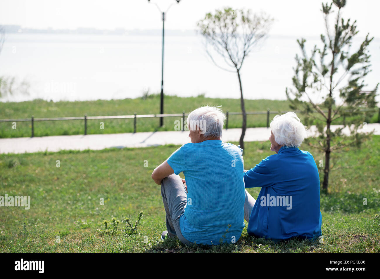 Back view portrait of modern senior couple sitting on lawn overlooking ...