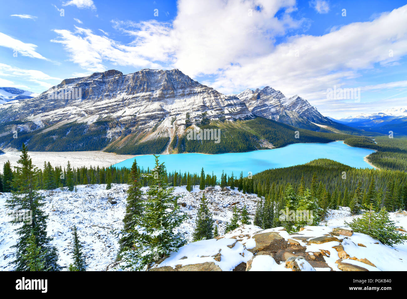 View from Bow Summit of Peyto lake in Banff National Park, Alberta ...