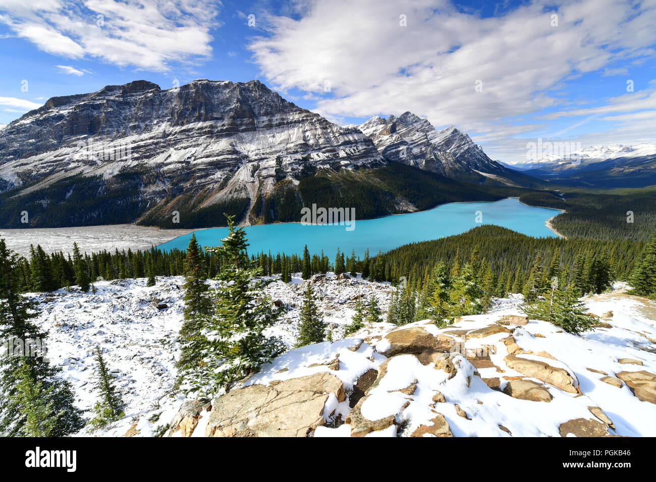 View from Bow Summit of Peyto lake in Banff National Park, Alberta ...