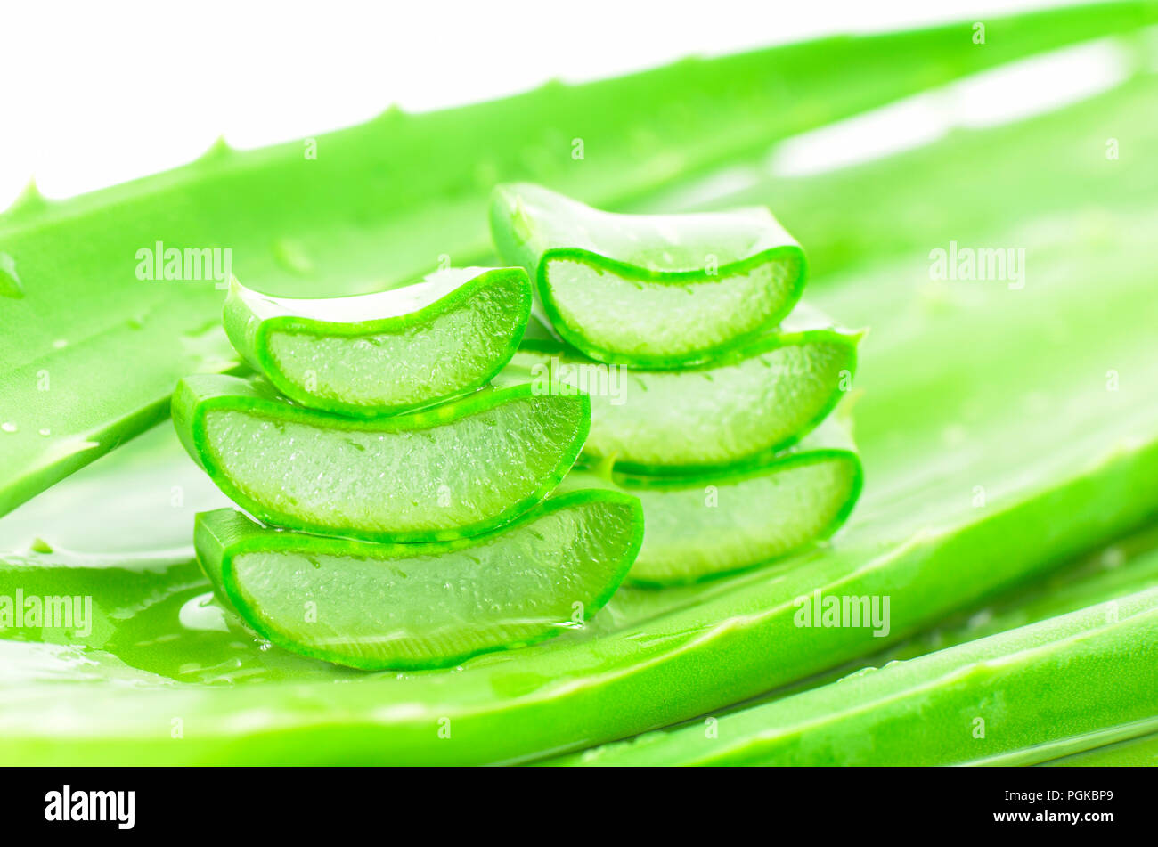 Cut Aloe Vera leaves shows transparent Aloe Vera gel inside. Aloe Vera ...
