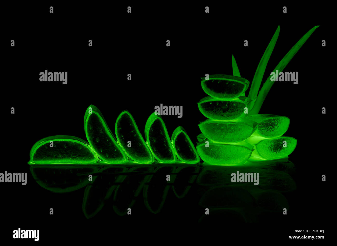 Cut Aloe Vera leaves shows transparent Aloe Vera gel inside. Aloe Vera ...