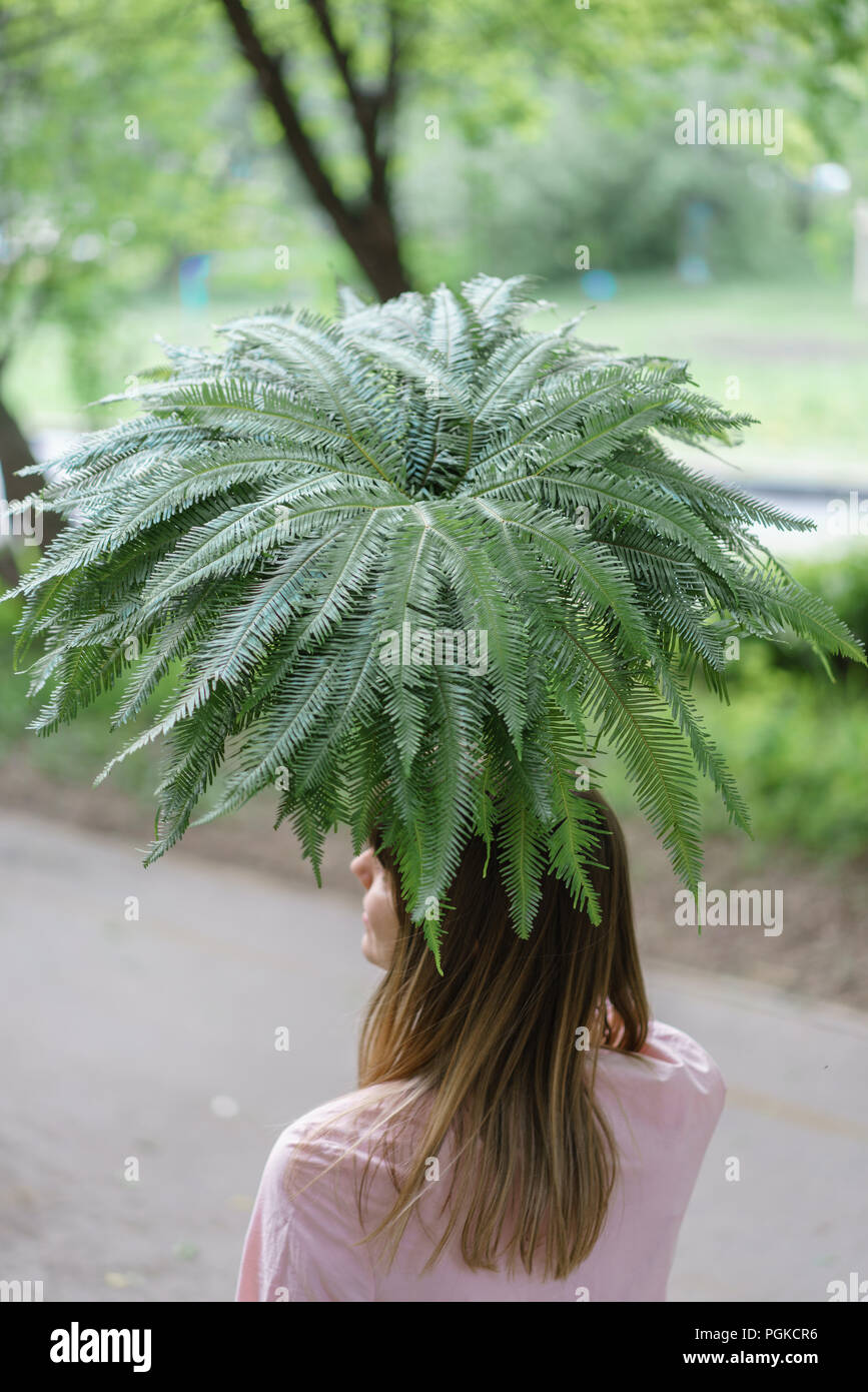 Umbrella ferns hi-res stock photography and images - Alamy