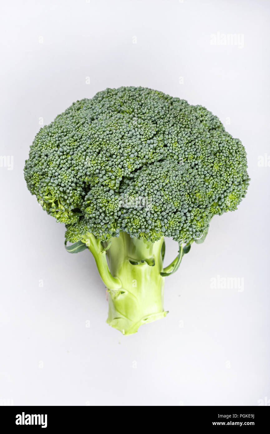 inflorescence of raw broccoli on white background, useful vegetarian ...