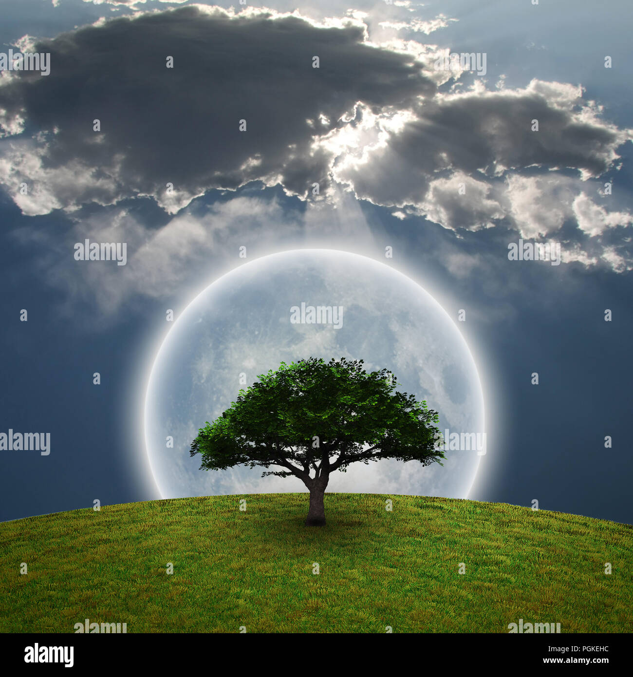 Green Tree. Bright moon. 3D rendering Stock Photo - Alamy