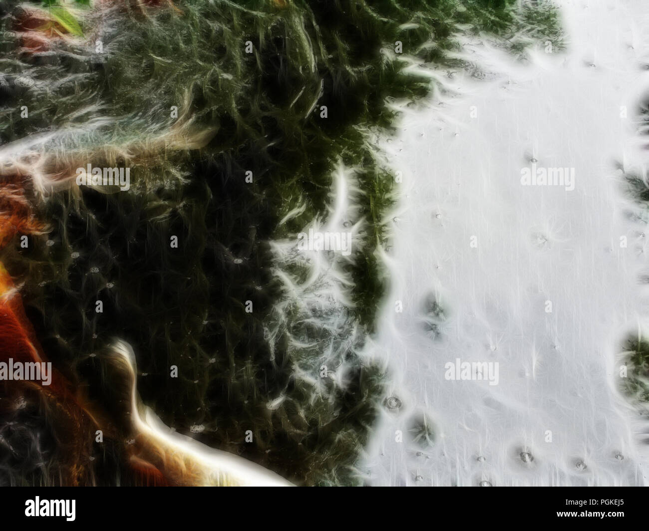 Traditional chinese painting koi carp hi-res stock photography and ...